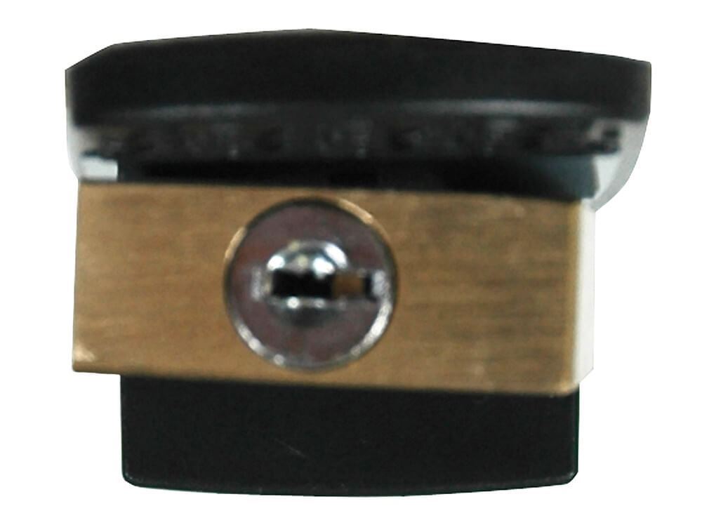 Reese Towpower Adjustable Brass Coupler Lock | Fulton 7005300|